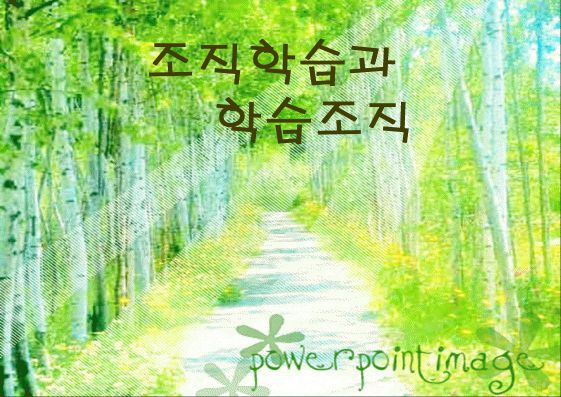 조직학습과 학습조직