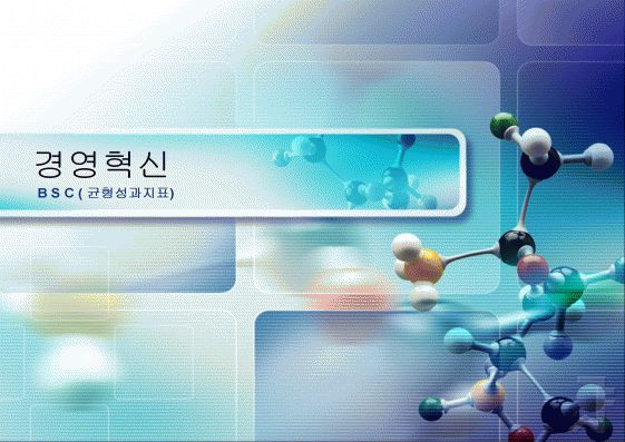 bsc 발표자료 ppt