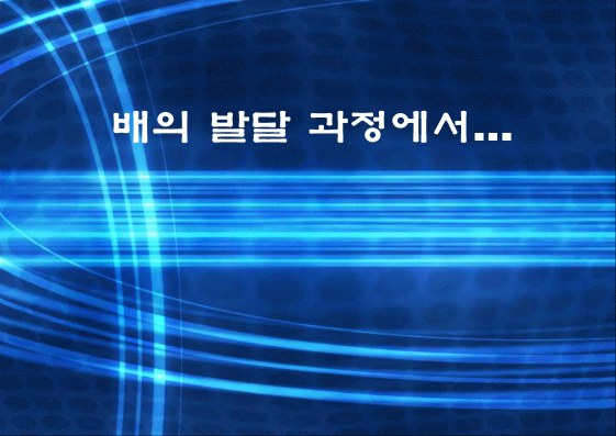 배의 발달 과정