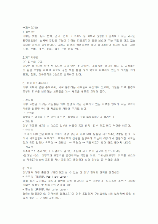 피부노화 레포트 자료
