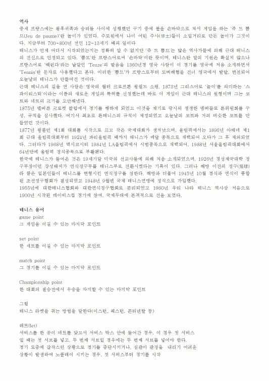 테니스에 대해서