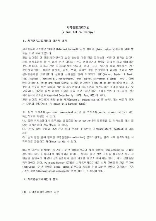 시각행동치료기법