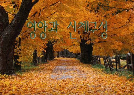 [예체능] 영양과 신체구성