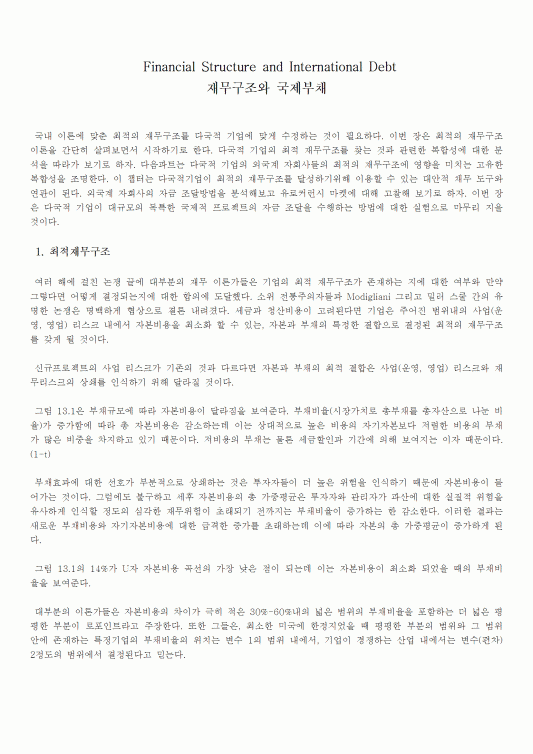 재무구조와 국제부채