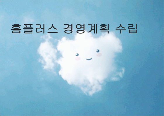 홈플러스 경영계획 수립