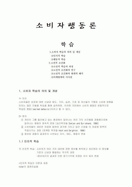 소비자학습 레포트 자료