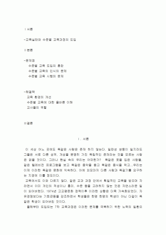 수준별 교육의 이해와 문제