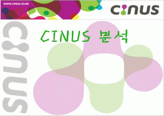CINUS(씨너스) 인사자원관리 분석