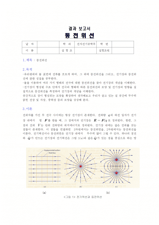 물리결과보고서(등전위선)