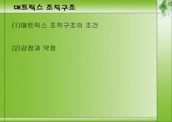 [사회과학] 매트릭스 조직구조