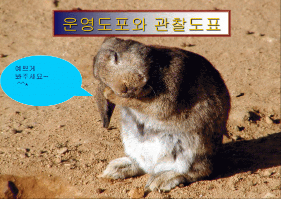 운영도포와 관찰도표