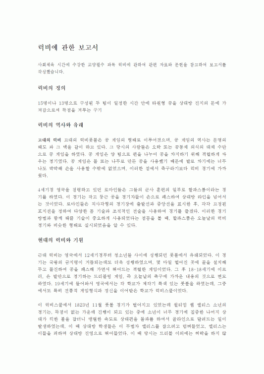 럭비에 관한 보고서