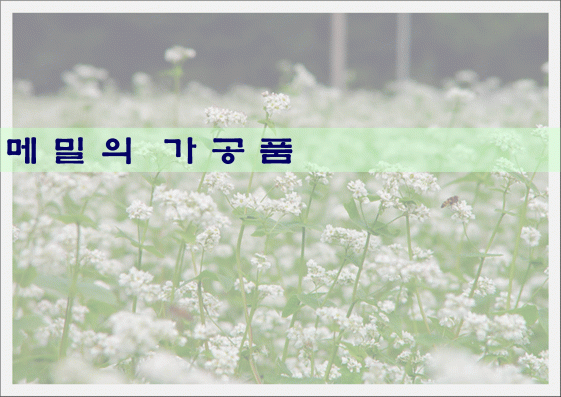 메밀의 가공품