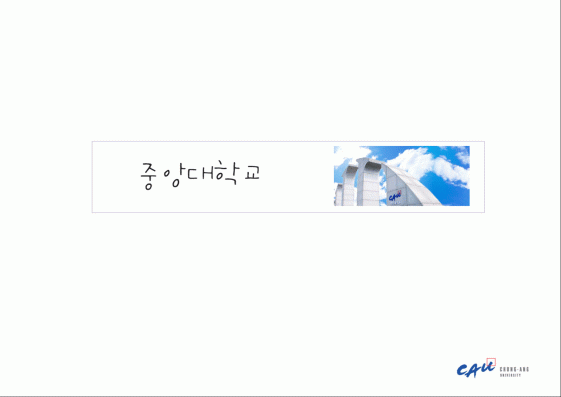 중앙대학교 마케팅 전략