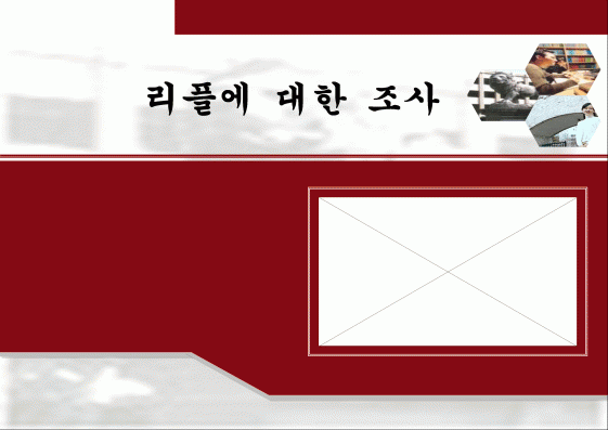 리플에 대한 조사