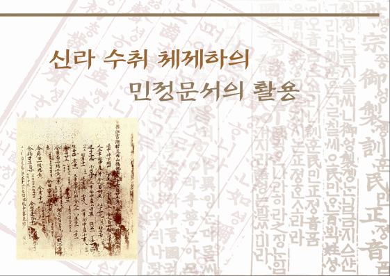 신라 수취 체제하의 민정문서의 활용