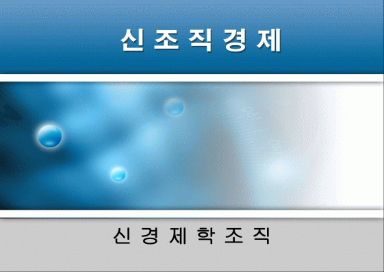 신조직경제 레포트 자료