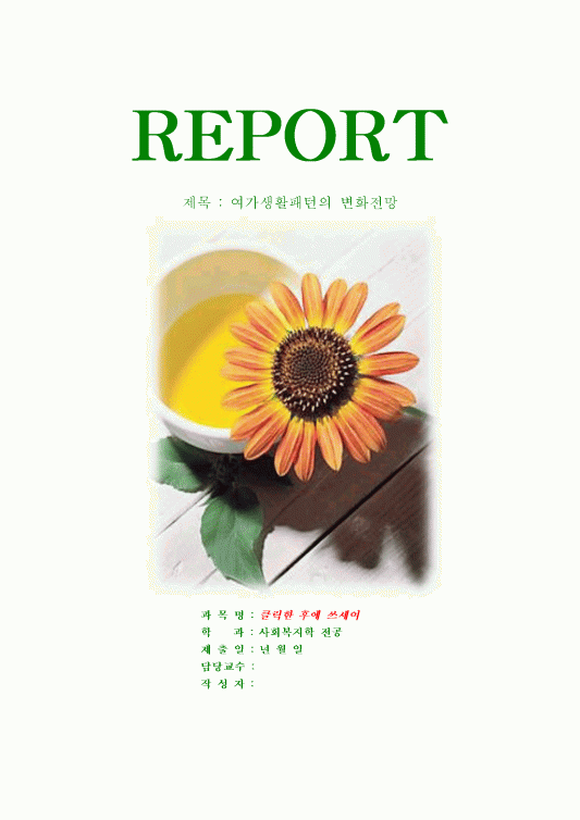 여가생활패턴의 변화전망
