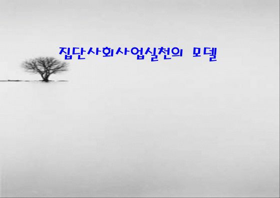 집단사회사업실천의 모델