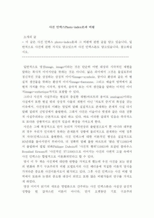 사진인덱스론과 비평