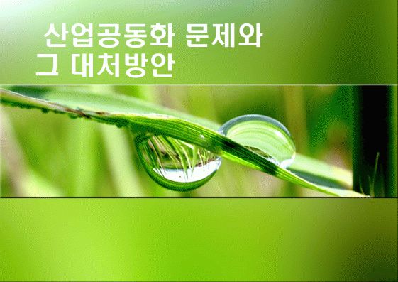 산업공동화 문제와  그 대처방안
