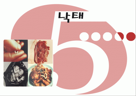 낙태의 정의 및 내용 한국 낙태의 현실