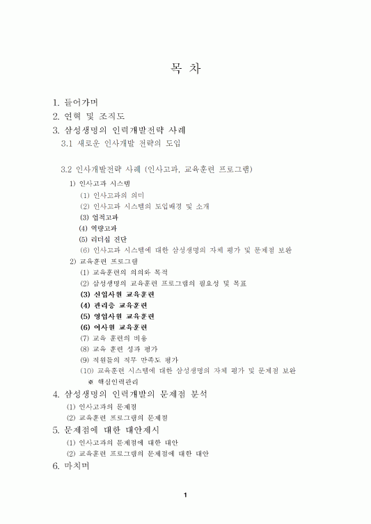 인력개발전략
