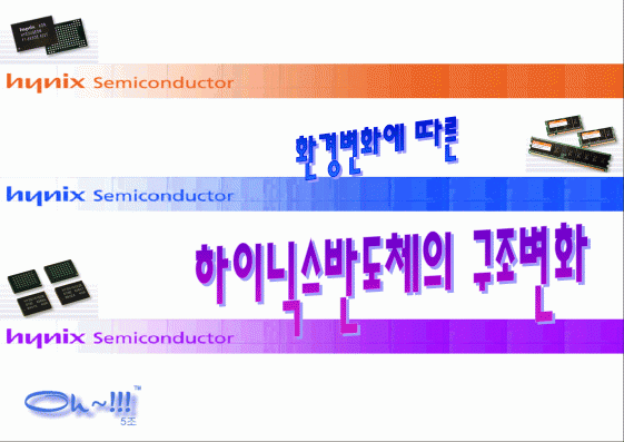환경변화에 따른 하이닉스반도체의 구조변화