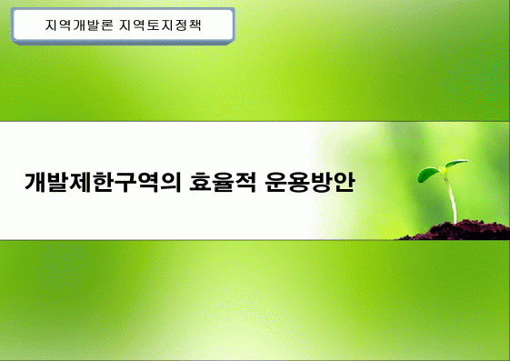 개발제한구역의 효율적 운용방안