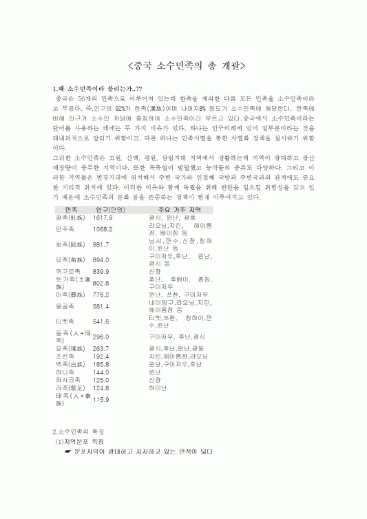중국 소수민족의 총 개괄