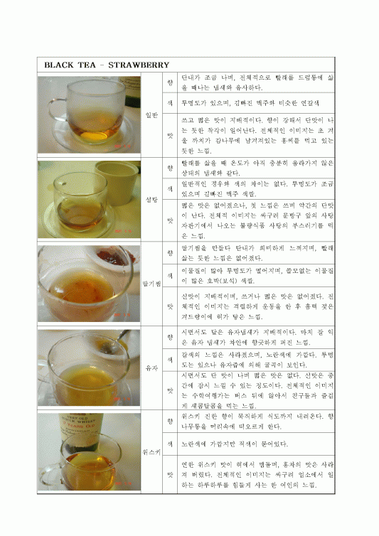 홍차 시음 보고서