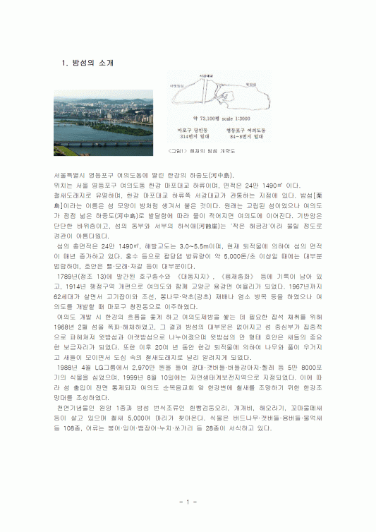 밤섬 레포트 자료
