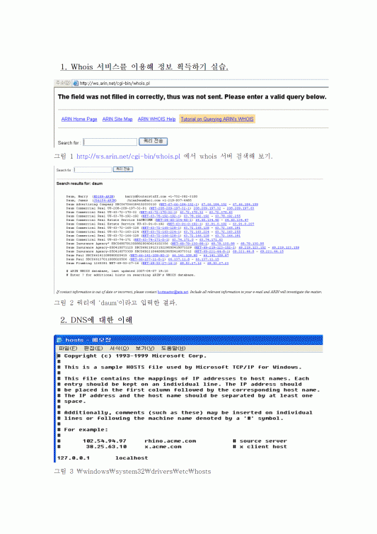 Whois & DNS 레포트 자료