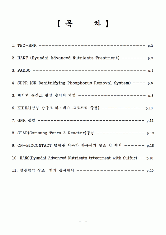 폐수처리 BNR공법