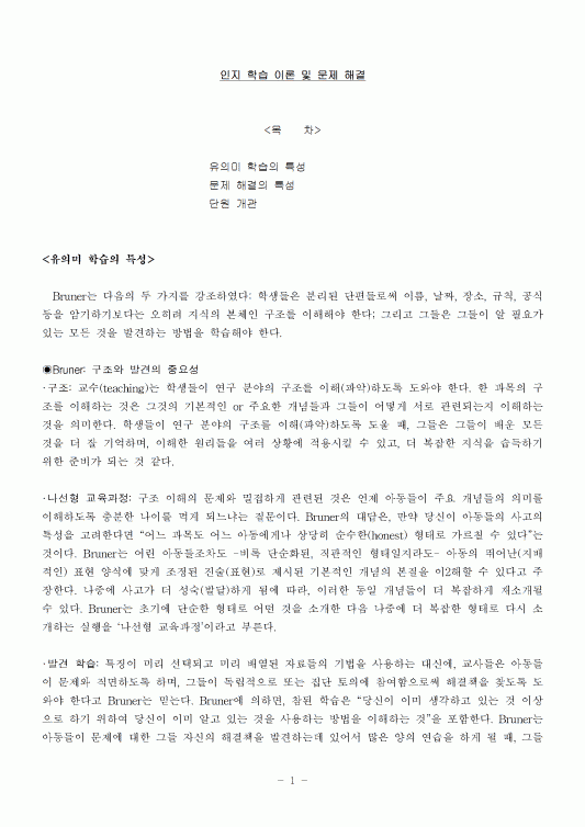 인지 학습 이론 및 문제 해결