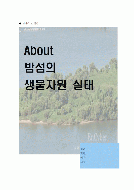 밤섬의 생물자원 실태