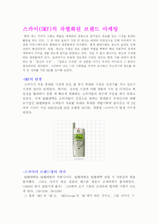 스카이의 차별화 마케팅