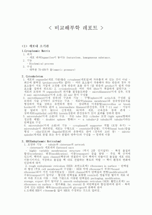 비교해부학 레포트