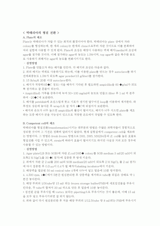 일반생물 레포트