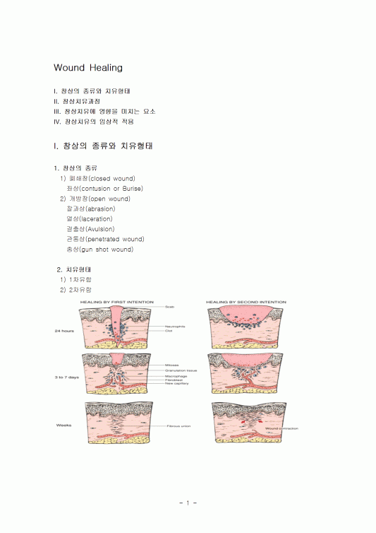 창상치유(Wound Healing)