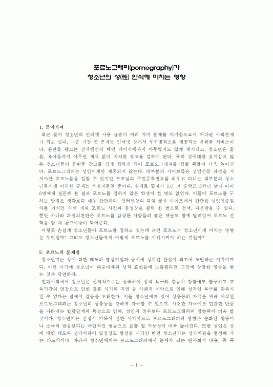 포르노그래피(pornography)가 청소년의 성(性) 인식에 미치는 영향