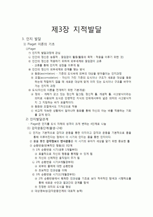 지적발달(인지발달)
