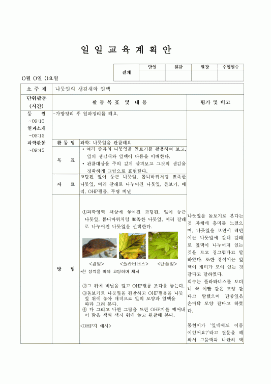 일일교육계획안-나뭇잎의 생김새와 잎맥