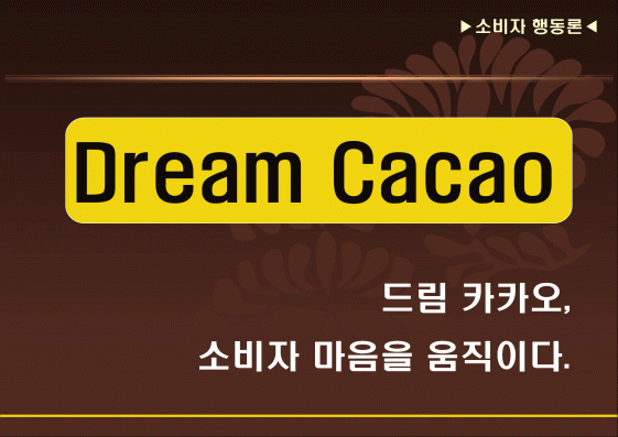 드림카카오 소비자행동분석 ppt자료 입니다.
