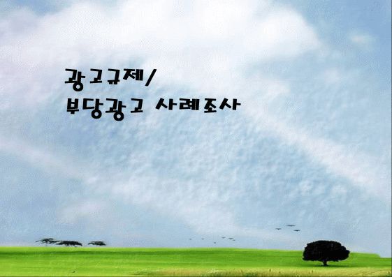 광고규제 - 부당광고 사례조사 및 분석