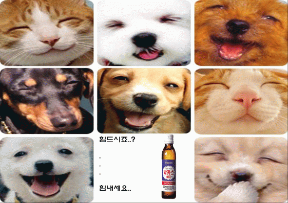 아웃백 PEST 분석
