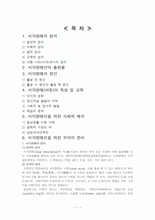 [논문] 시각장애