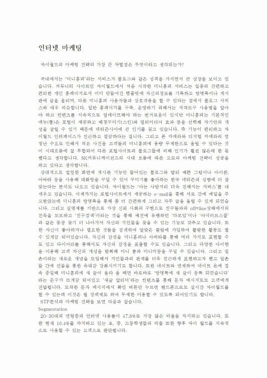 싸이월드 성공전략