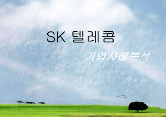 기업사례분석 - SK텔레콤