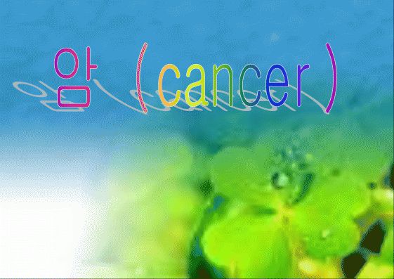암 (파워포인트)